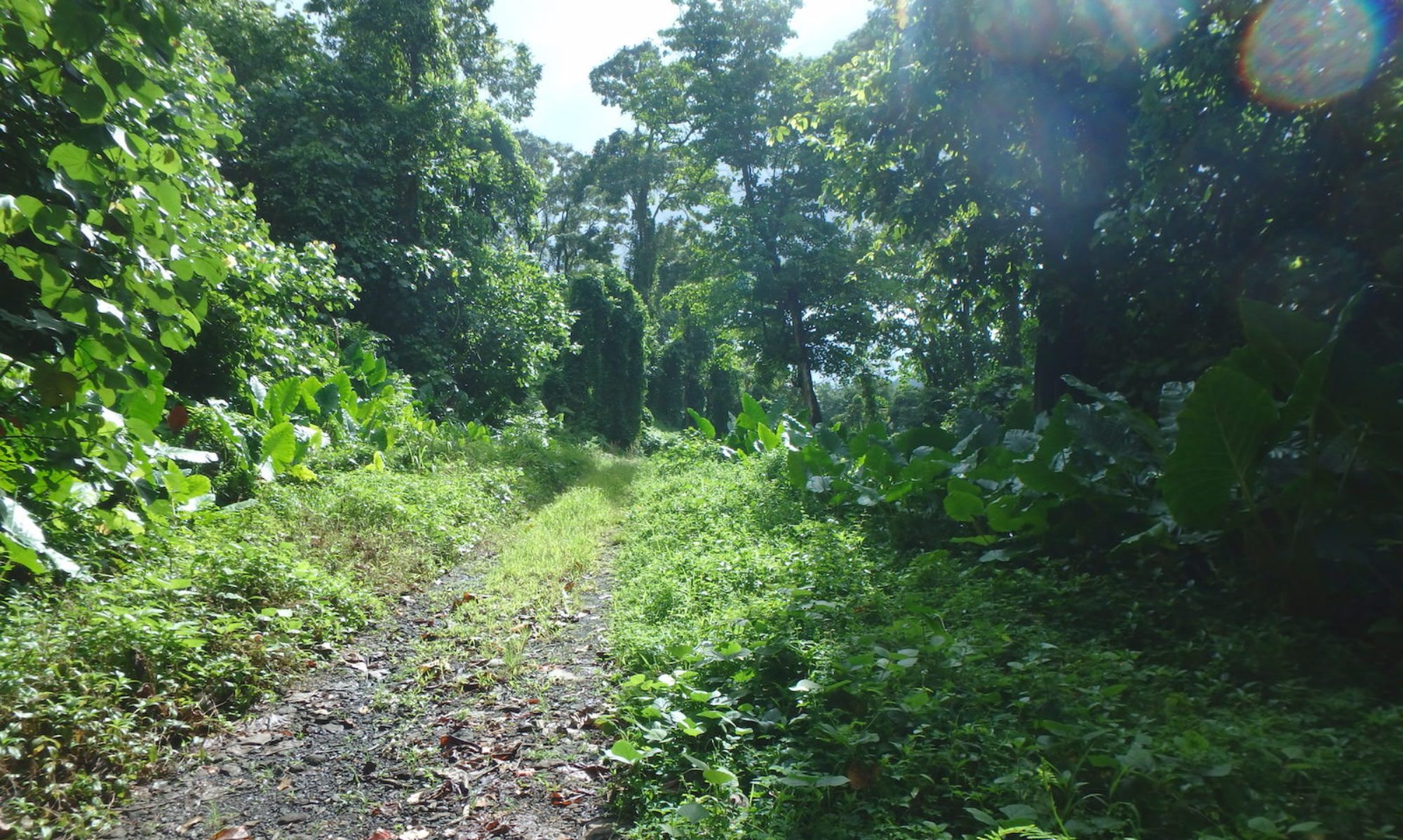 AVAE TERE TERE - Bienvenue au club de randonnée "Avaeteretere ...