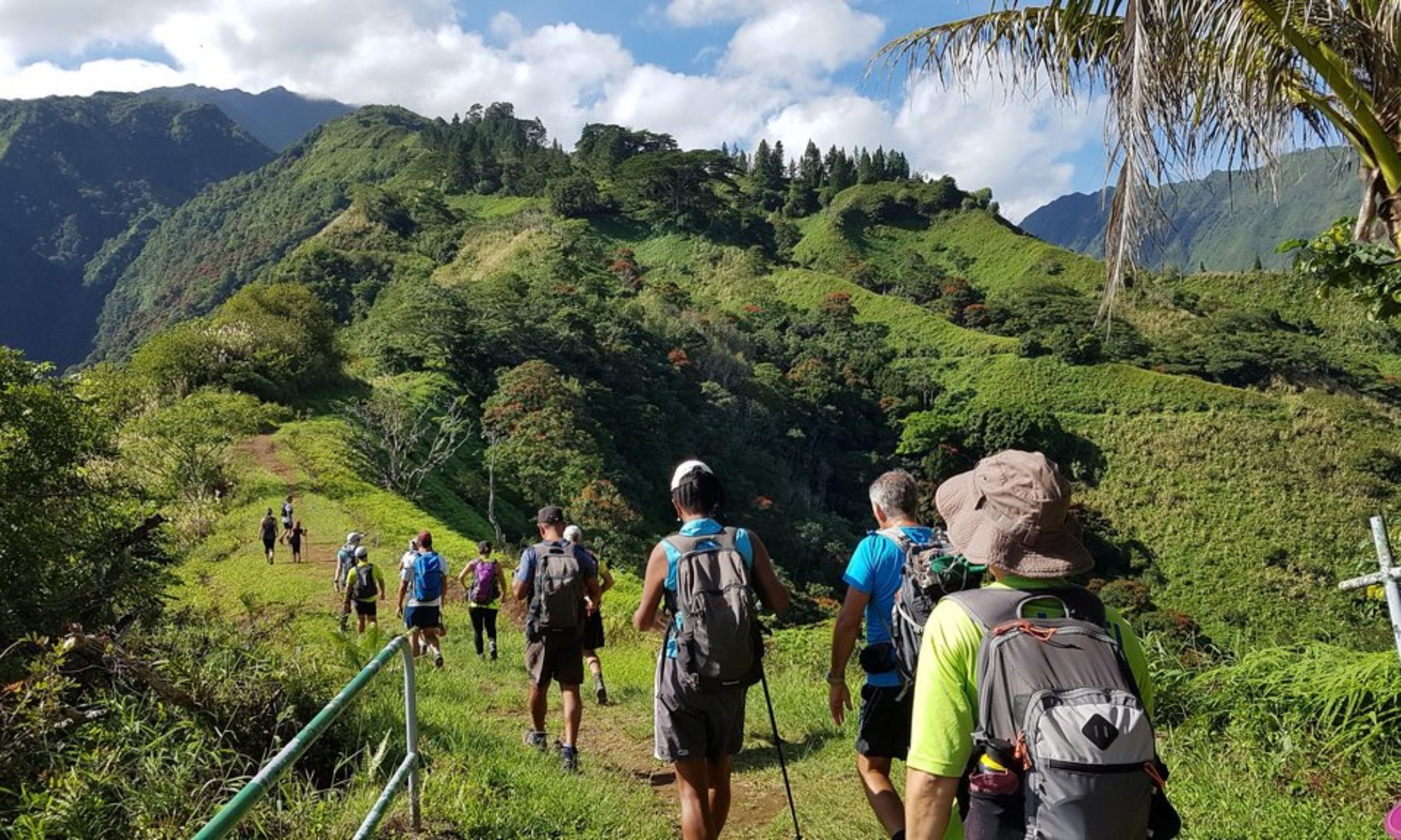 Sept 2018 / Aout 2019 - AVAE TERE TERE